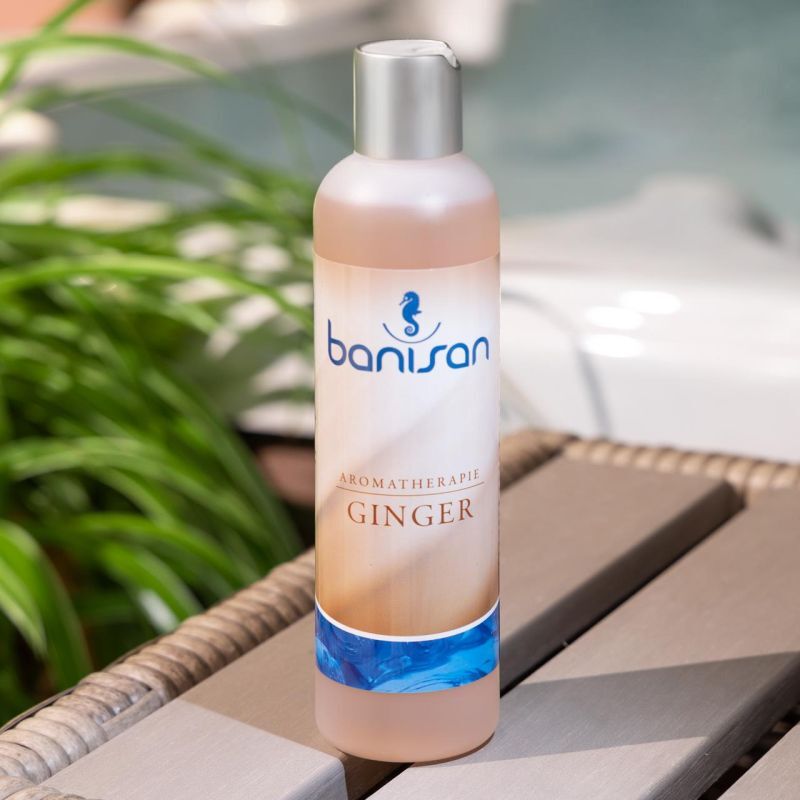 Whirlpool Badezusatz BANISAN | Ginger | Aromatherapie mit Ingwerduft